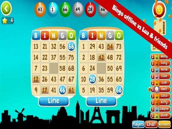 Bingo là trò gì, luật chơi và cách chơi online cần nhớ